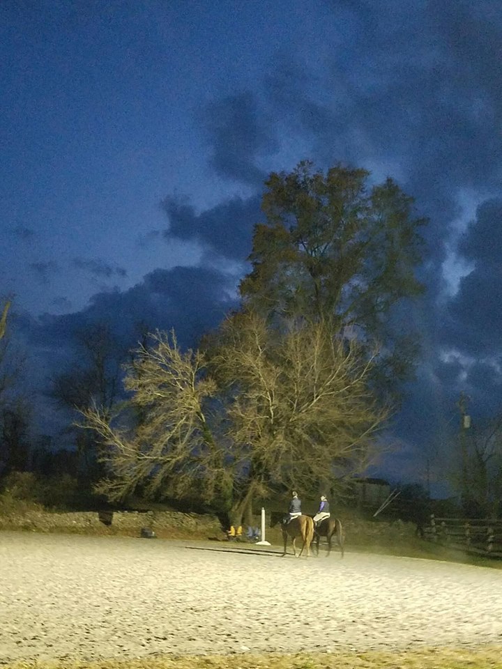Foxrock Stables - First in Class